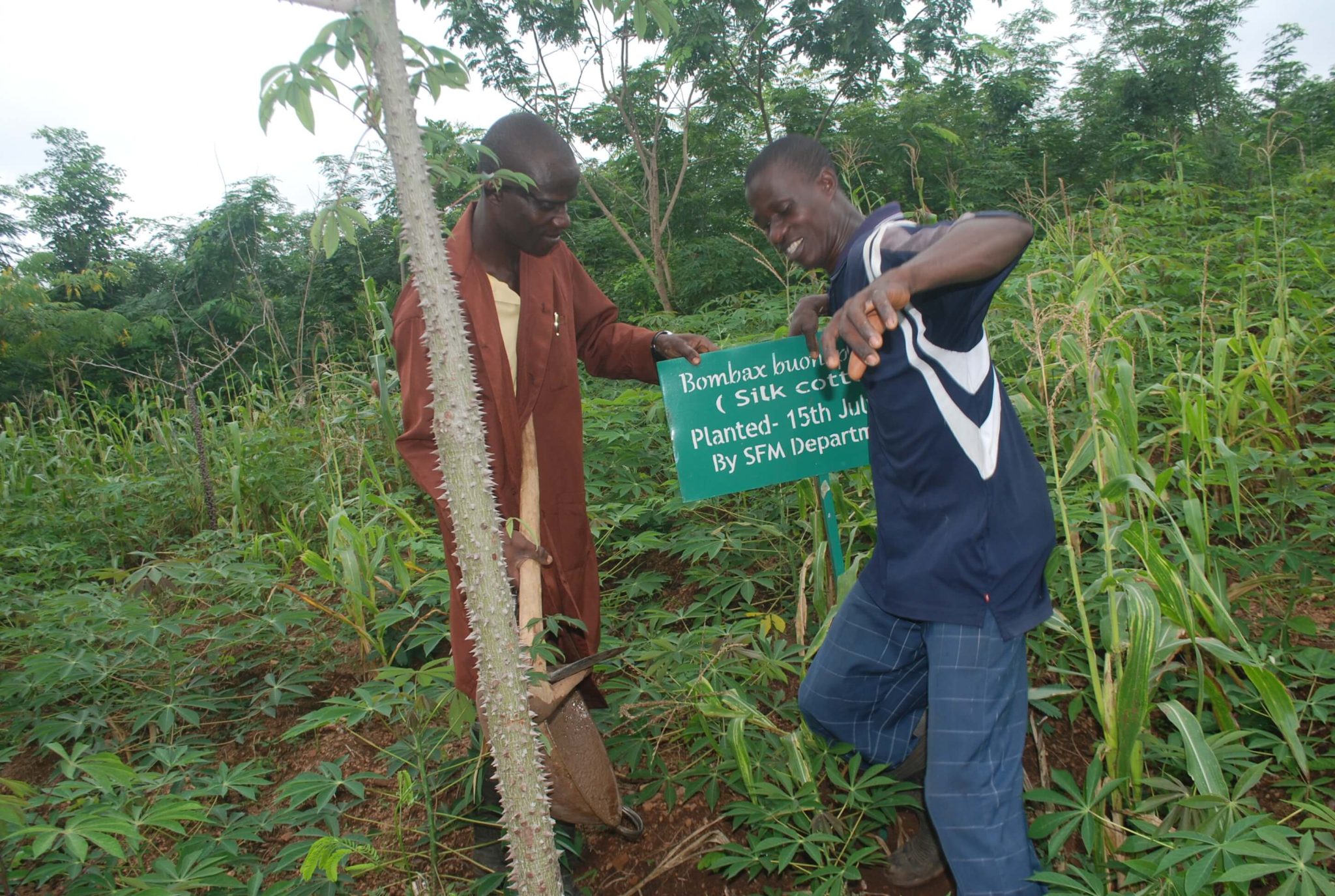 Forestry Research Institute of Nigeria